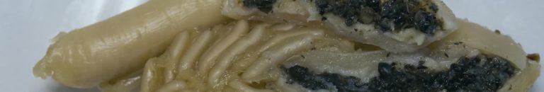 Fish Stomach Contents - Biologica